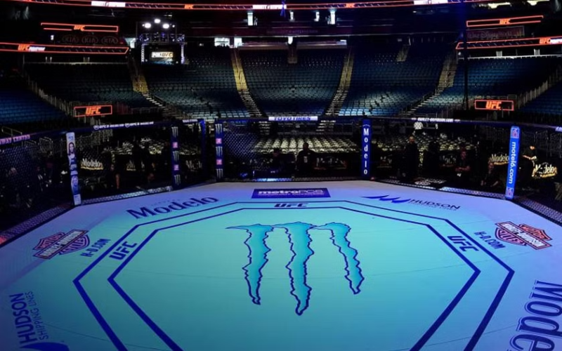 UFC 295 Venue: Madison Square Garden - A Historic Showdown | sportinglad